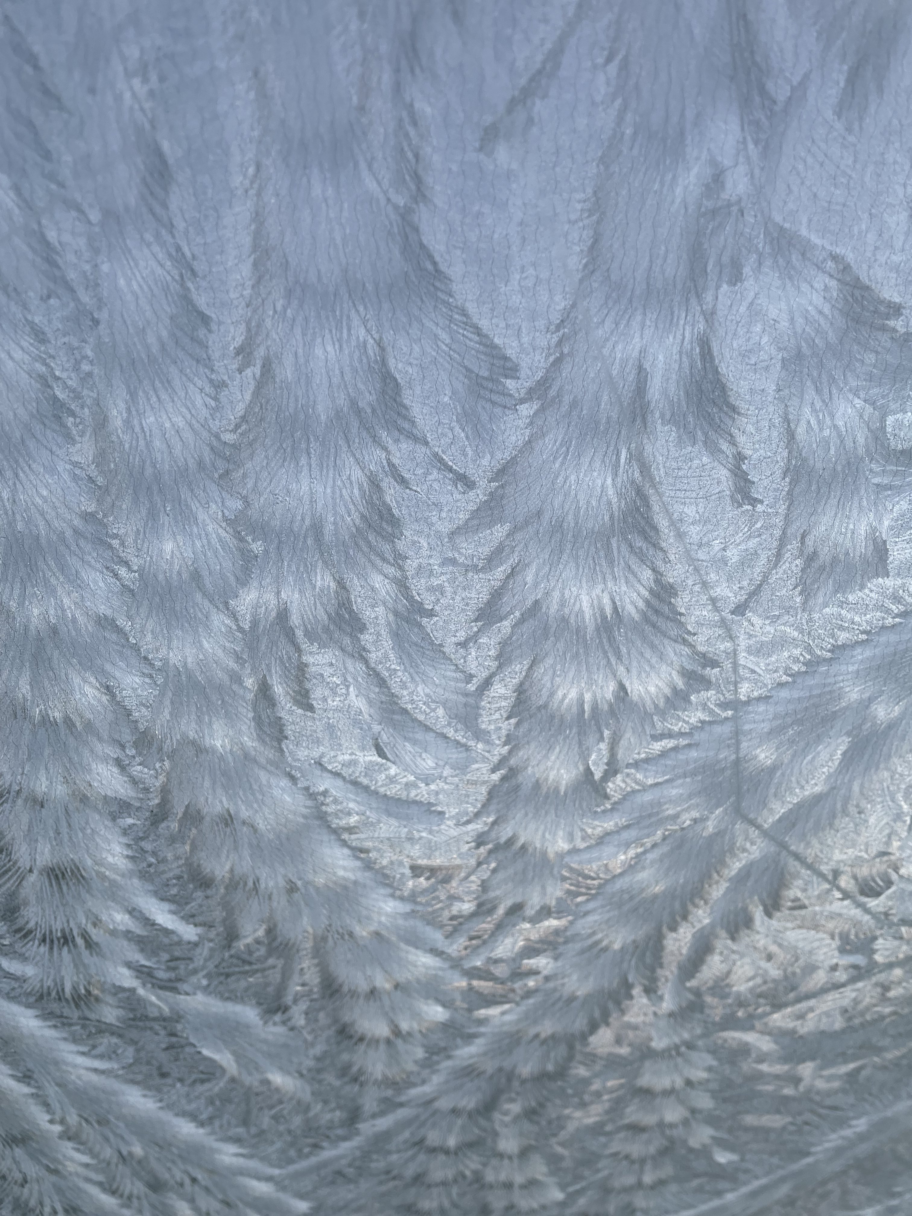 Values and beliefs - Doctor & Patient